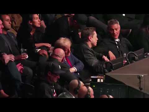 Donald Trump Enters Ufc 309 At Msg, Hugs Joe Rogan, Watches Mma Fight ...