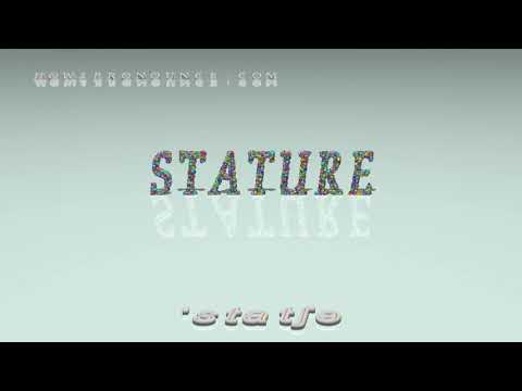 stature - pronunciation + Examples in sentences and phrases