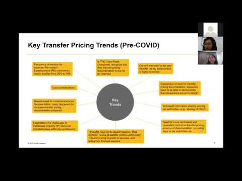 SF Group - Transfer Pricing Free Online Morning Briefing