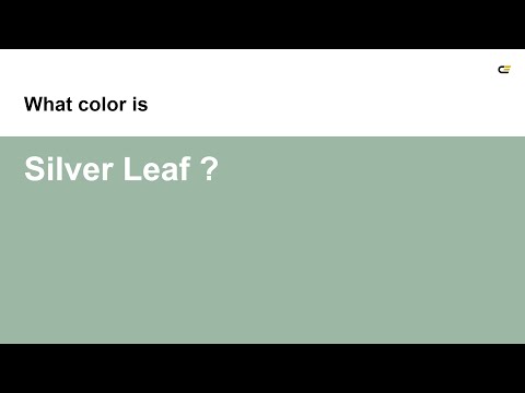 Silver Leaf color #9db7a5 hex color - Green color - Warm color 9db7a5