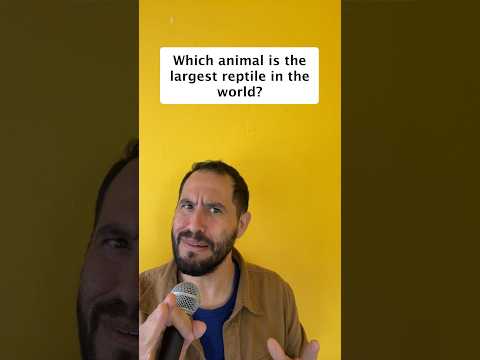 Did you know all these trivia questions? Animal trivia for kids! #trivia #quiz