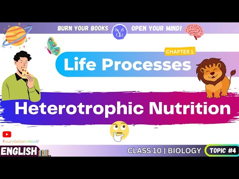 What is Heterotrophic Nutrition? - English | Class 10 | Science | Biology | Chapter 1 | Life Process