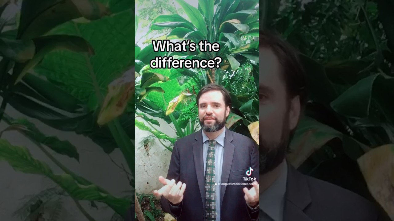 What's the difference between reforestation afforestation conservation and agroforestation?