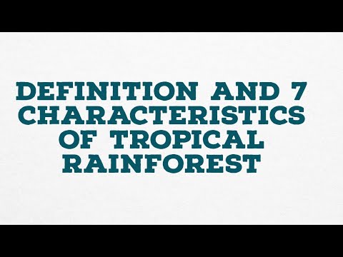 DEFINITION AND 7 CHARACTERISTICS OF TROPICAL RAINFOREST
