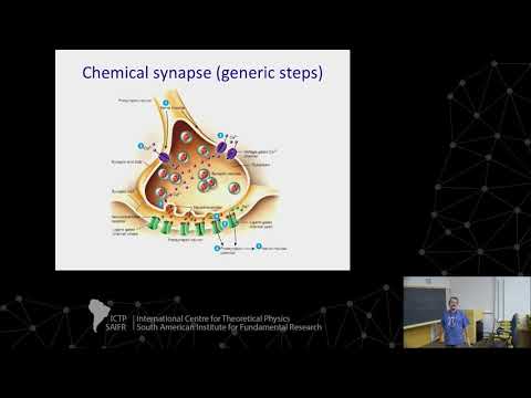 Neuronal networks (biological and artificial) - 3 of 3
