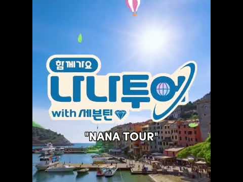 Nana tour vs Nana bnb song 🤌 #woozi #seventeen #nana_tour #nanabnb #fyp #viral #shorts