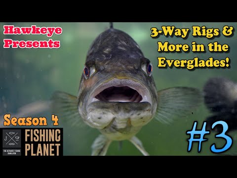 Steam Community :: Video :: Fishing Planet | #3 - S4 | 3-Way Rigs ...