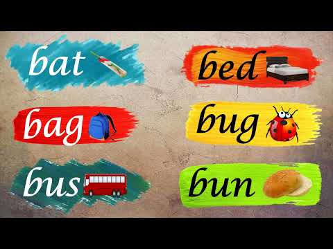 Three letter words Starts with - B