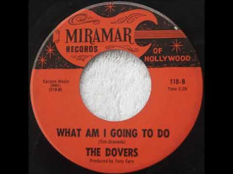 The Dovers — “What Am I Gonna Do”: Brace for the Obscure (60s rock ...