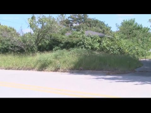 210 Macon properties sold at blight auction