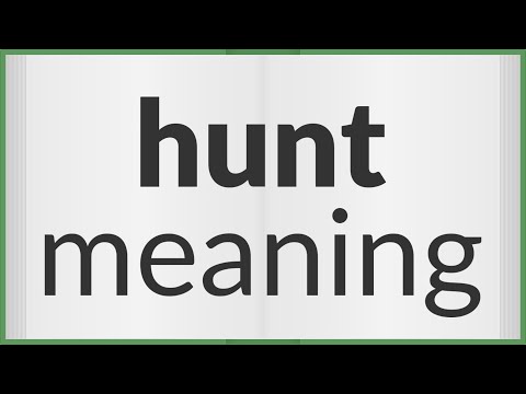 Hunt | meaning of Hunt