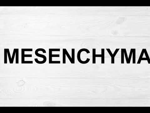 How To Pronounce Mesenchymal
