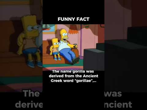 The HILARIOUS meaning of the word gorilla! #shorts #facts #funny #simpsons