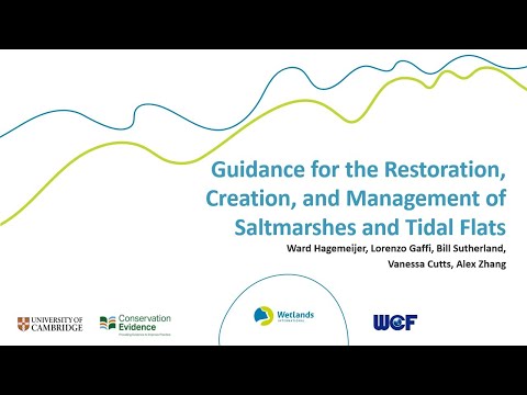 Guidance Launch: Restoration, Creation, and Management of Salt marshes and Tidal Flats