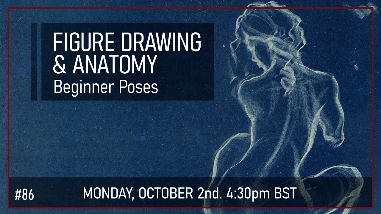 Figure Drawing & Anatomy - Beginner Poses #86