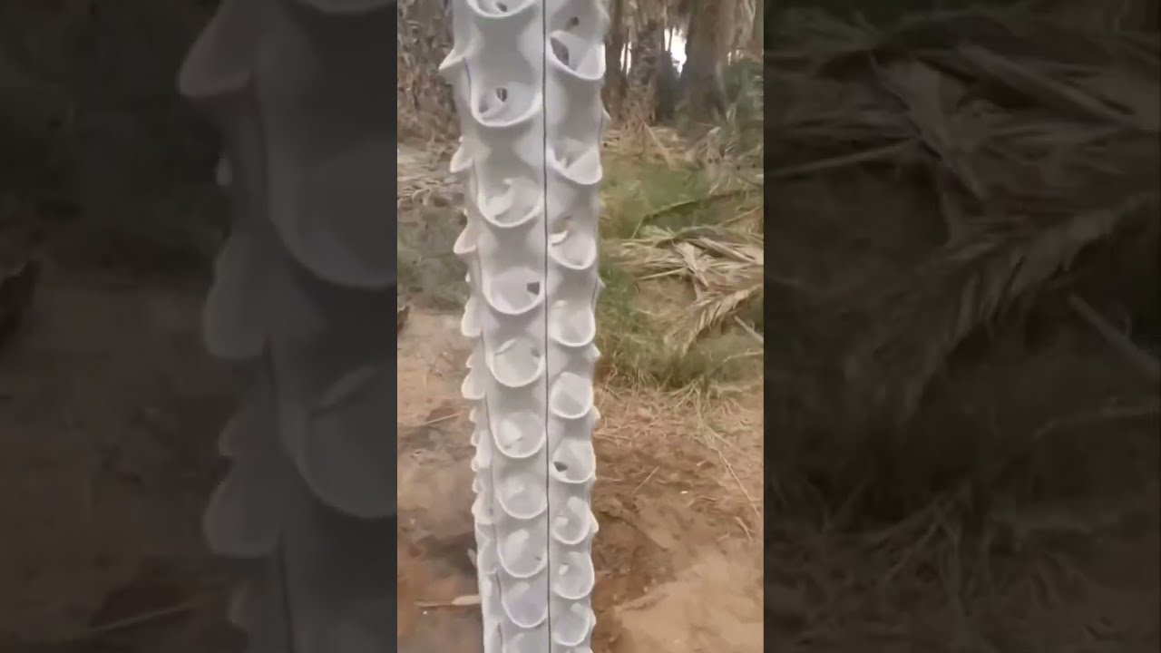 Product Link in Comments - Green Life Vertical Hydroponic Home Gardening Kit