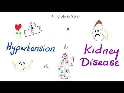 Hypertension & Kidney Disease | Renovascular Hypertension vs Hypertensive Nephropathy