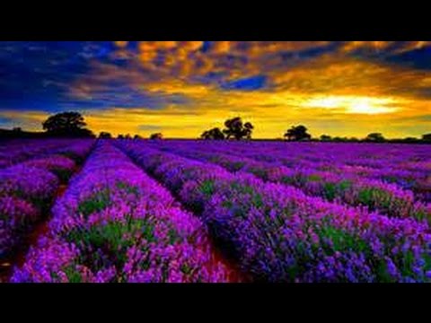 Psalm 20 NKJV audio
