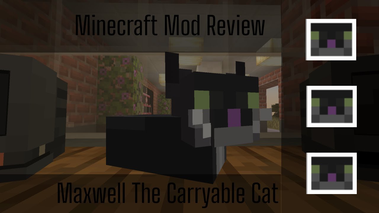 Minecraft Mod Showcase: Maxwell The Carryable Cat Mod 1.19.2