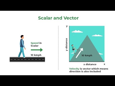 Scalars and Vectors and With Examples Real-Life