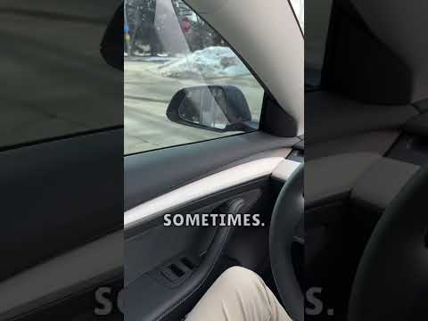 Is White Interior in Model 3/Y Worth the $1,000 Upgrade?? 🤔💰