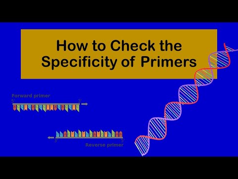 How to Check the Specificity of Primers Using Primer Blast NCBI