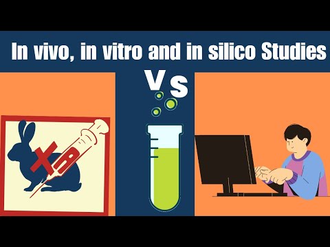 In vivo, In vitro and In silico Studies | Difference Between In vivo, In vitro and In silico Studies