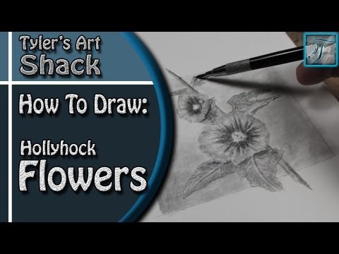 How to Draw a Hollyhock Flower