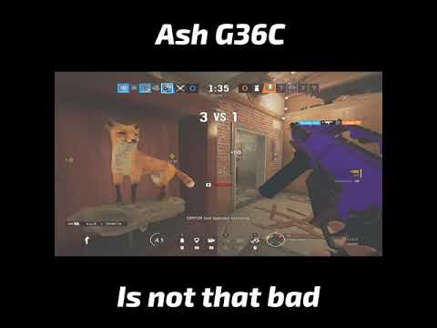 Ash G36C is not really that bad #shorts