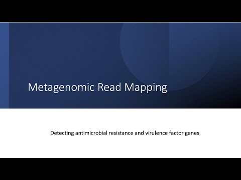 Introduction to the Metagenomic Read Mapping service