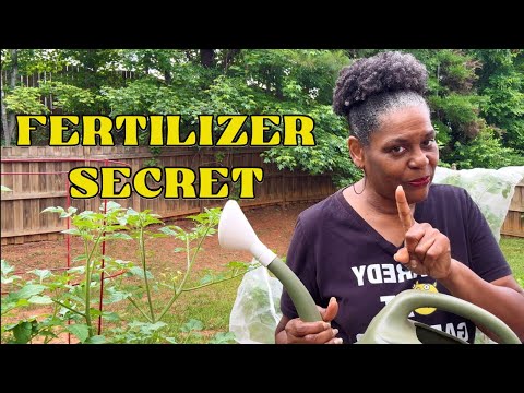 The Fertilizer Method That Transformed My Container Garden! (They Won't Tell You This!)
