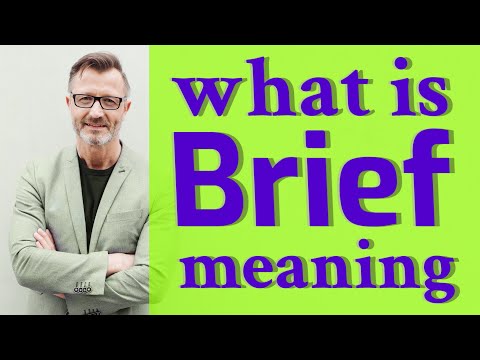Brief | Meaning of brief