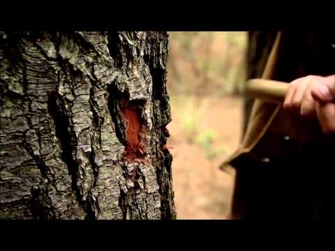 American History Rebels Documentary by History Channel Part 2
