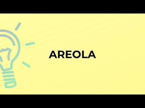 What is the meaning of the word AREOLA?