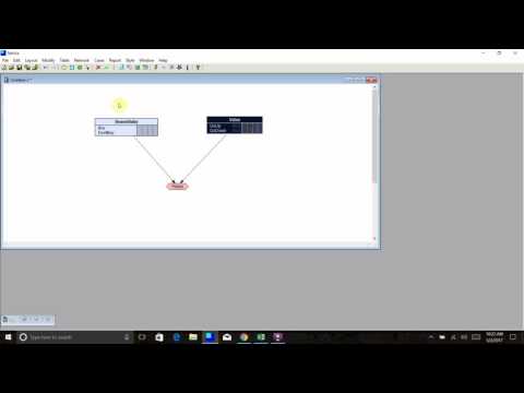 Decision Net in Netica