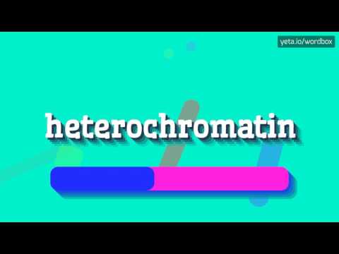 HETEROCHROMATIN - HOW TO PRONOUNCE IT!?