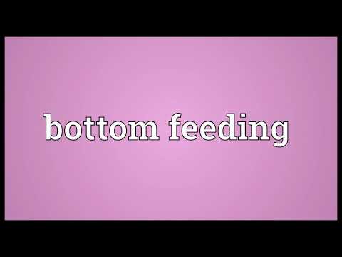 Bottom feeding Meaning