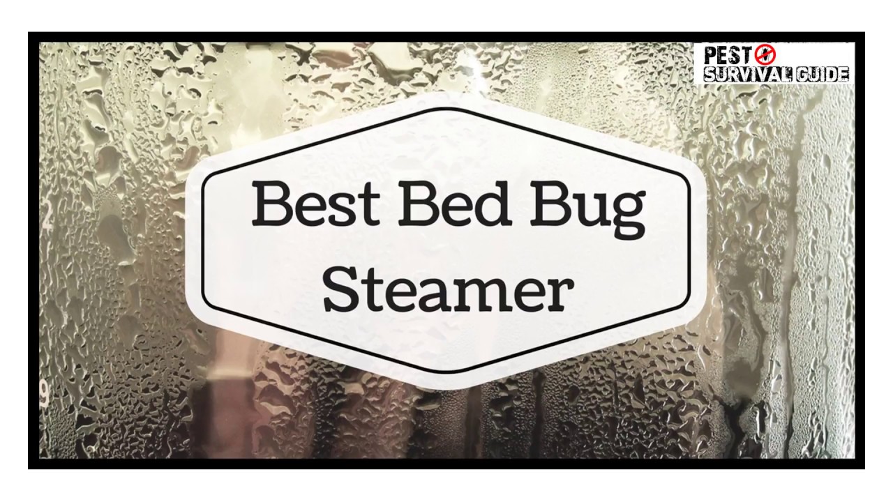 Best Bed Bug Steamer