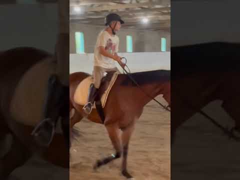 Cantering on easy for the first time (a while back ago)