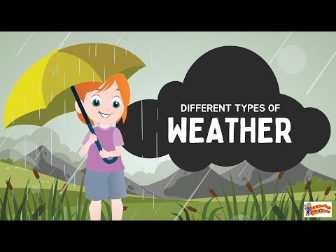 DIFFERENT WEATHER DISTURBANCES | SCIENCE FOR KIDS | GRADE 2 WEEK 4 QUARTER 4