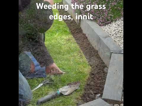 Just a bit of early spring weeding, edging the lawn, enjoy gardening lovers