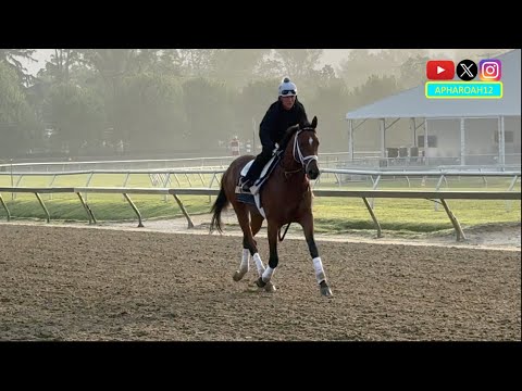 The Final Morning of 2025 Preakness Stakes Training 5/16/25