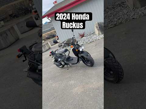 2024 Honda Rukus Sound Test / What Do YOU Ride?!? #honda