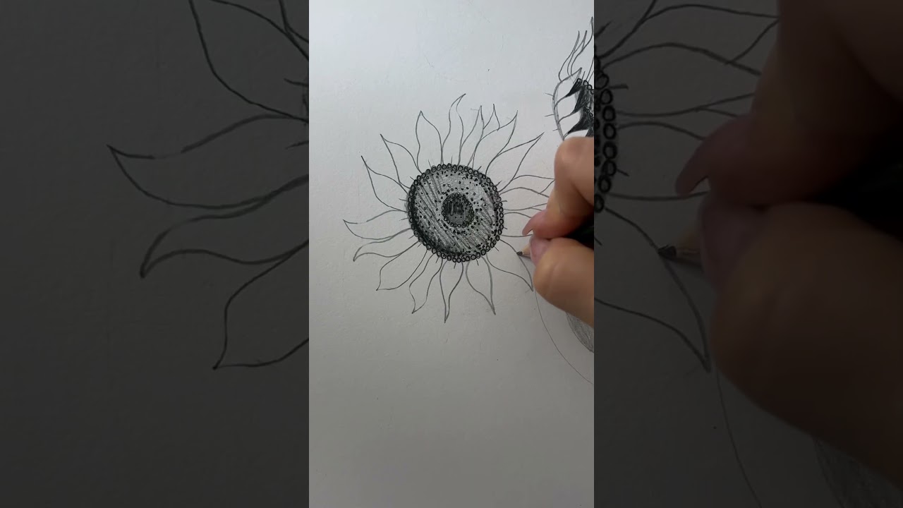 Sunflowers 🌻 easy tutorial •#sunflowers #flowerdrawing #drawing #art #sketch #flowers