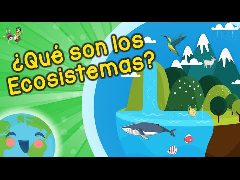 ¿Qué son Los Ecosistemas? (Videos Educativos para Niños)
