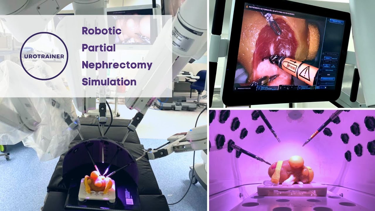 Practicing Robotic Partial Nephrectomy with Urotrainer VK-1