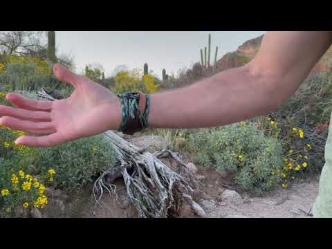 How to Wrap the Pan Sling Around Your Wrist
