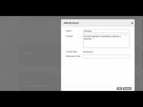 Informatica Business Glossary Data Stewardship