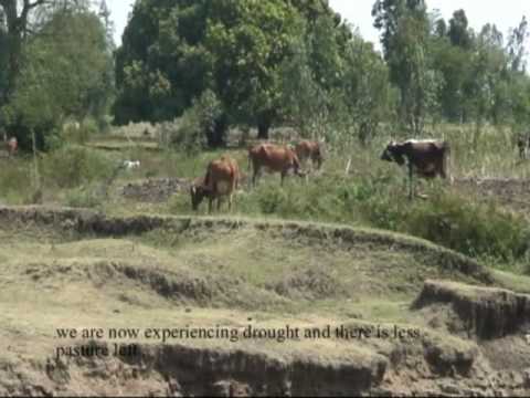 CLACC Kenya: CBA in Oyolla