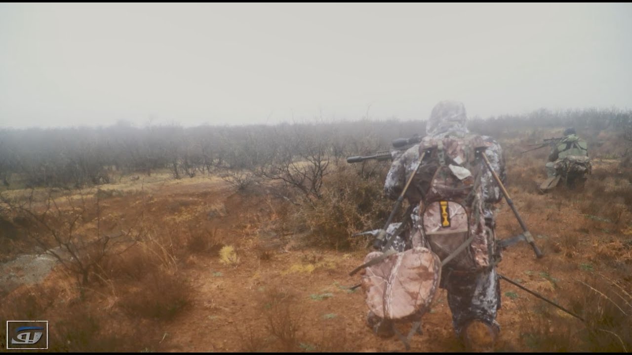 .224 Valkyrie Better than .22-250 for Varmint Hunting? | Gun Talk